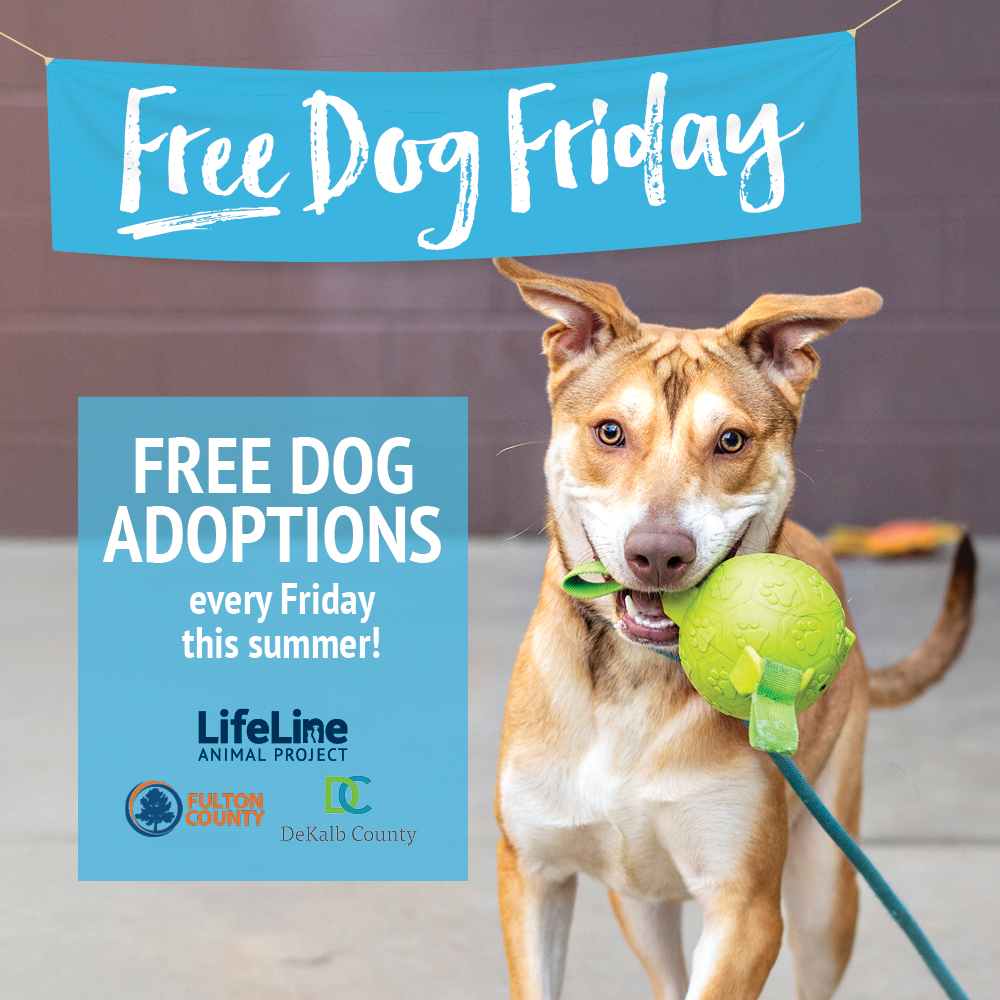 Fulton County Presents Free Dog Fridays